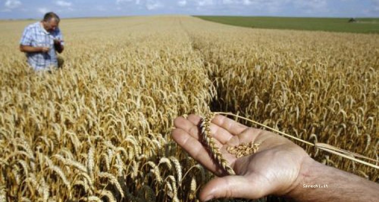 Ridurre gli sprechi comprando dai contadini sempre più italiani lo fa